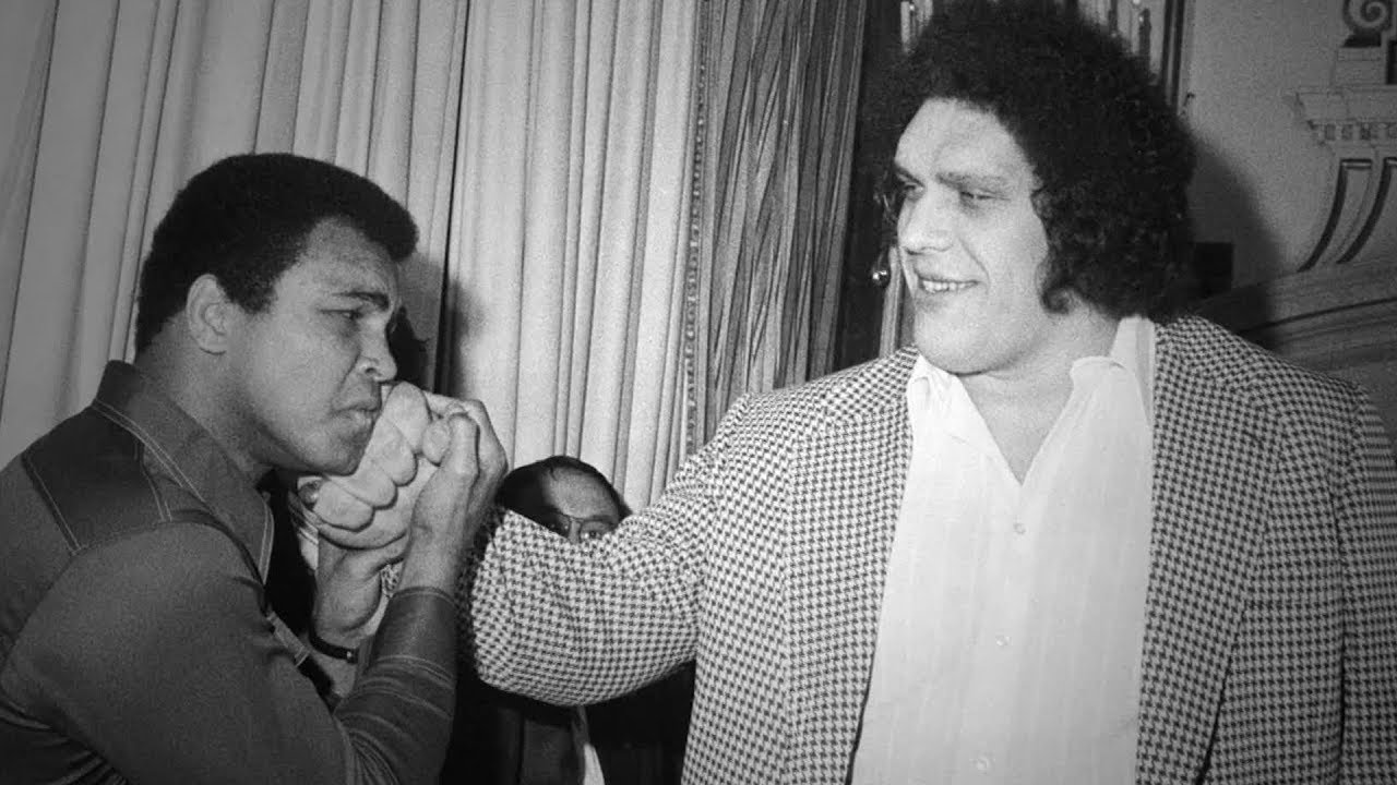 André the Giant Profile – The Wrestling Roadshow
